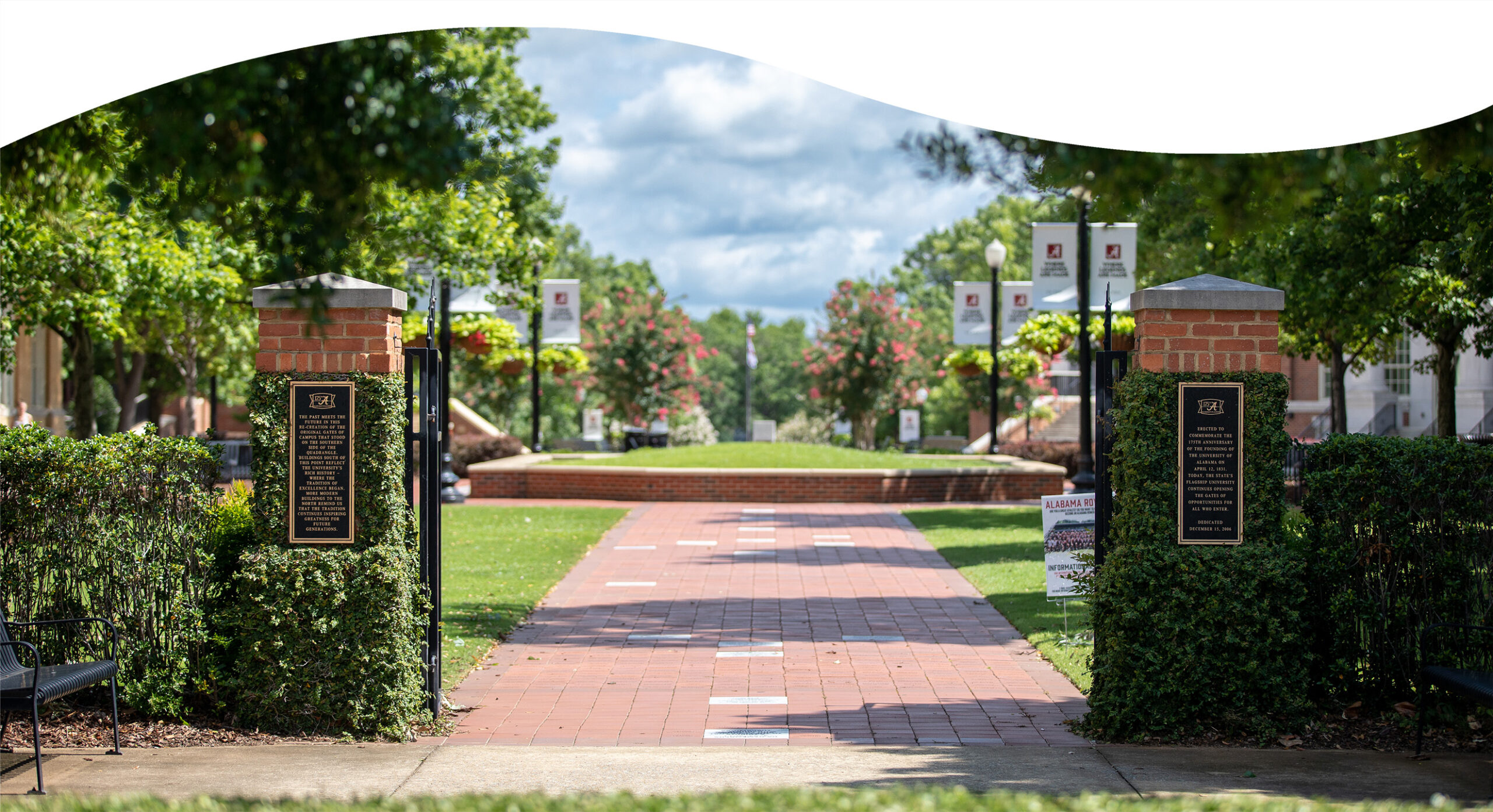Impact | The University of Alabama